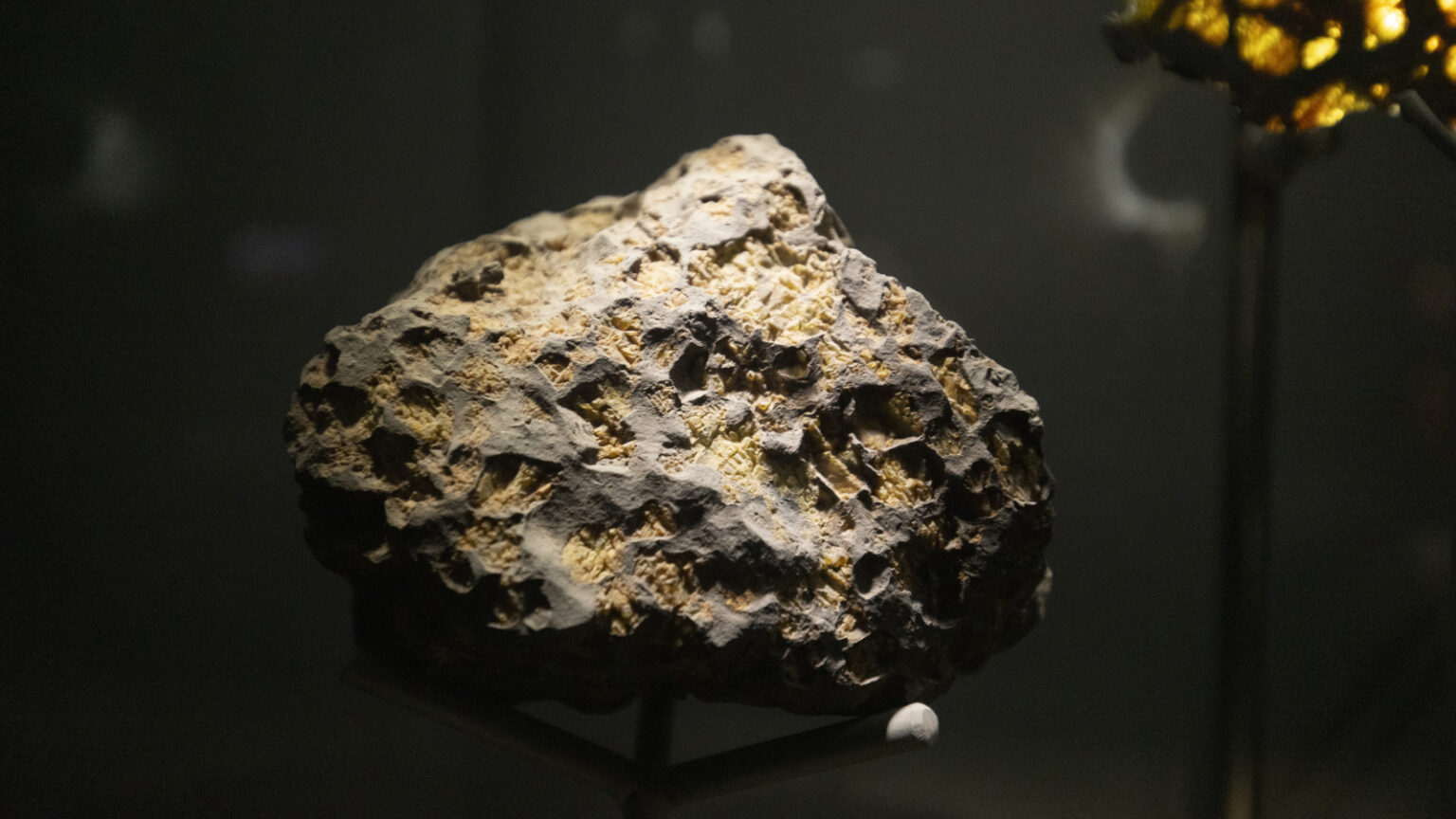 Unlock Your Type Soul Shunko in Roblox: A Step-by-Step Guide ...