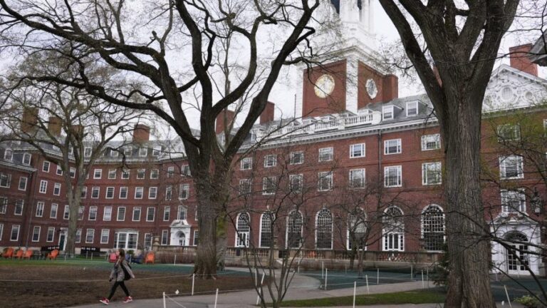 Harvard Dean Condemns Police and 'Whiteness' Amid Backlash - NEWSNOWCHICAGO
