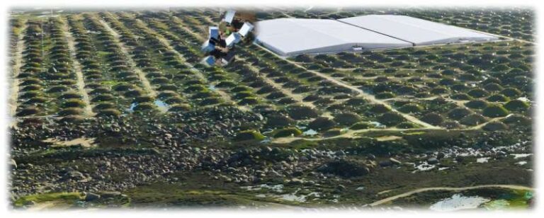 Scientists Link Cosmic Rays' 'Knee' to Black Holes' Power - NEWSNOWCHICAGO