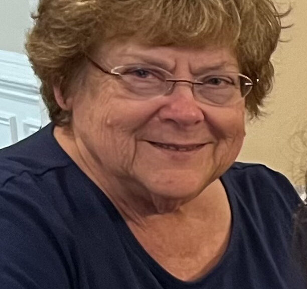 Community Mourns the Passing of Patricia A. Huber, 77 - NEWSNOWCHICAGO