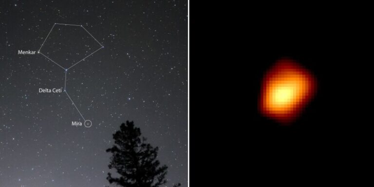 Astronomers Track Brightening of Mira, the Wonderful Star - NEWSNOWCHICAGO