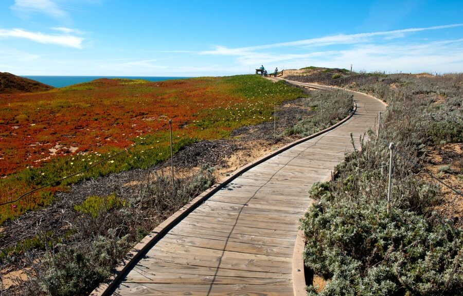 California Offers Free State Park Access on MLK Day - NEWSNOWCHICAGO