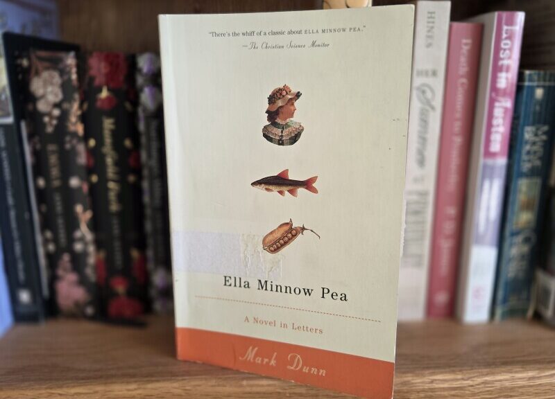 Discover the Whimsical World of “Ella Minnow Pea” in a Unique Read ...