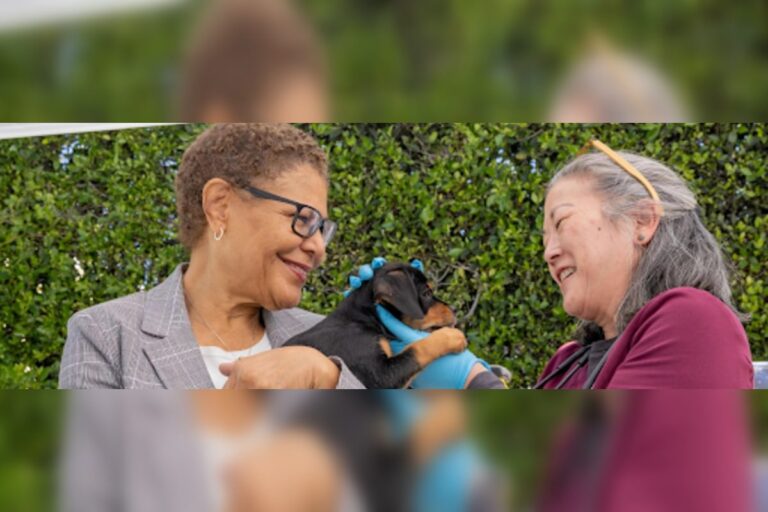 Los Angeles Mayor Launches Pet Care Initiative for Homeless ...