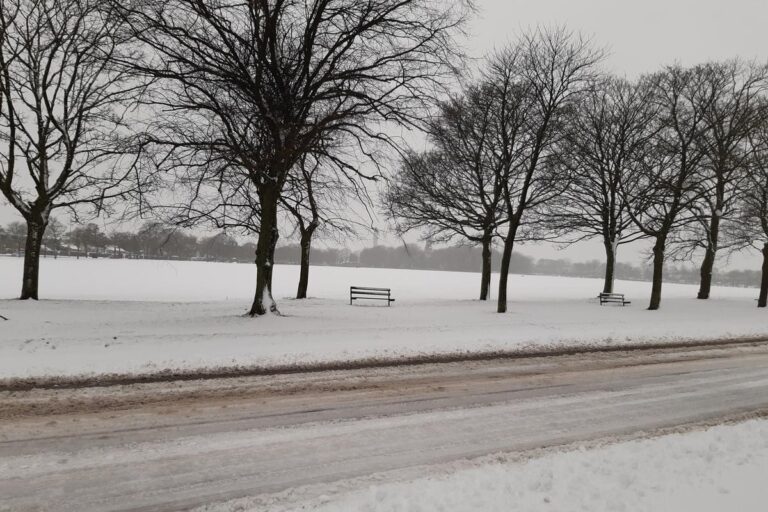 **Snowstorm to Strike Halifax Today, Travel Disruptions Expected ...